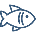 Fish That Start With A
