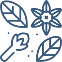 Herbs that start with A